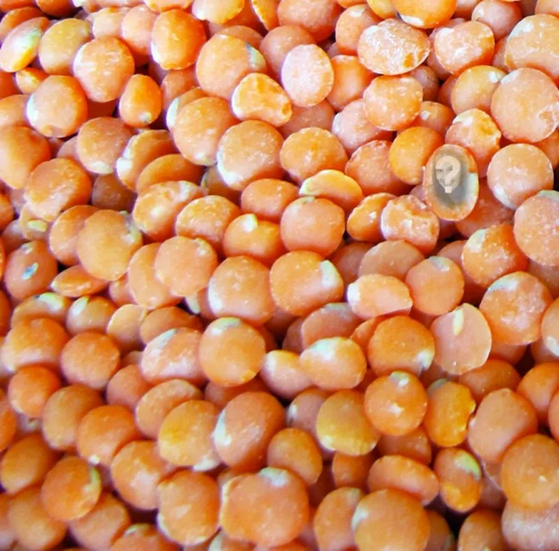 Online game to put your photo in a lentil and tell your friends to find