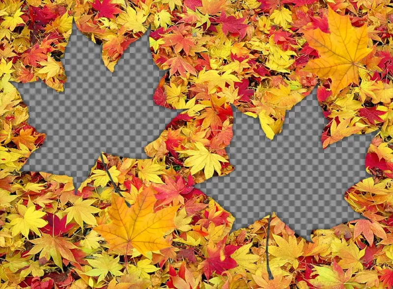 Autumn photo effects - Photofunny