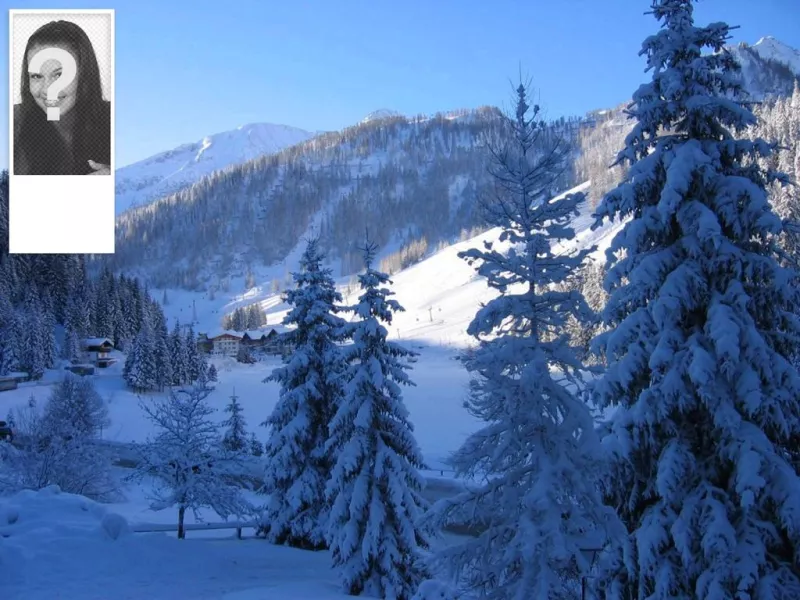 Twitter Forest Backgrounds