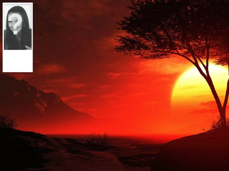 Twitter Backgrounds For Summer