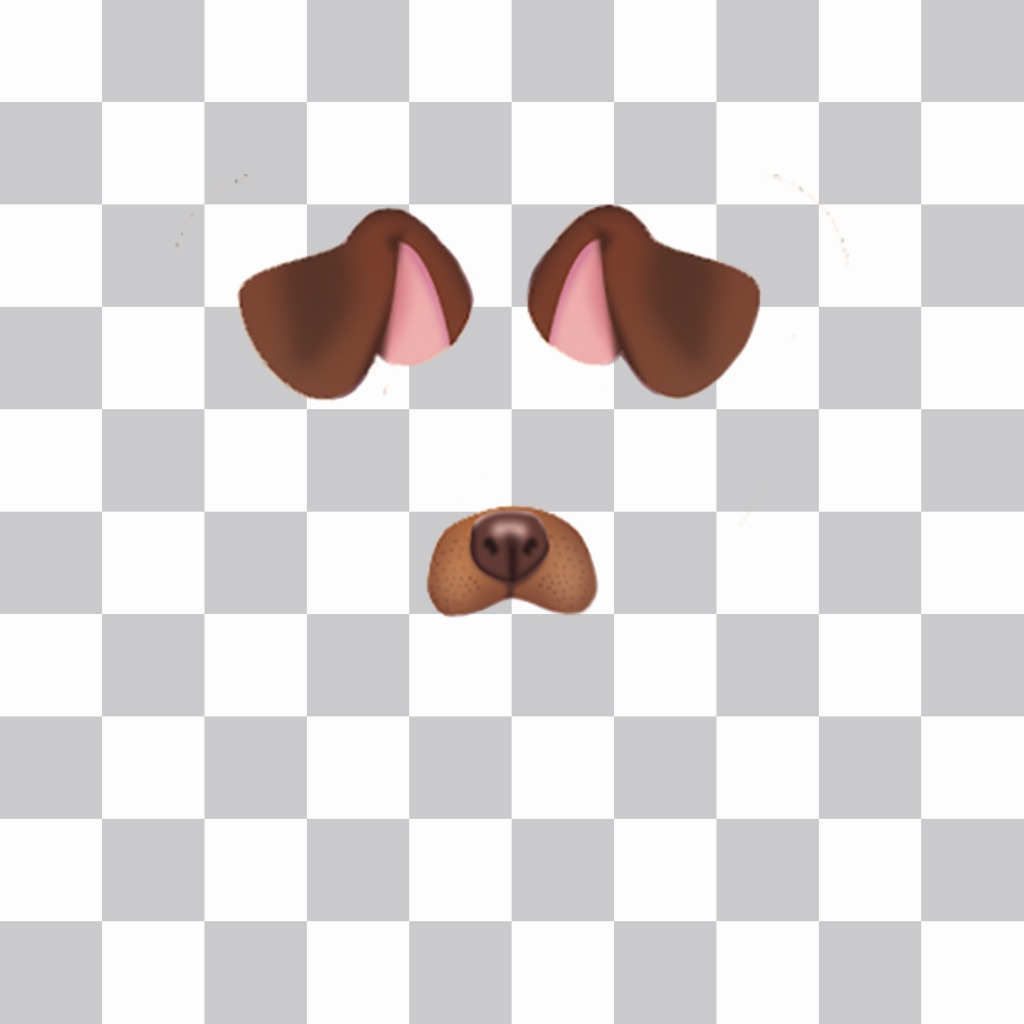 Stick the ears and nose of a puppy in your photo