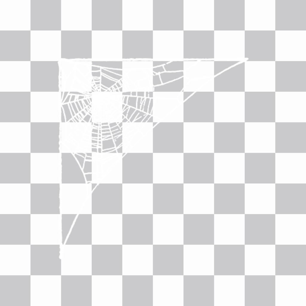 Put a spiders web and a spider in your photo, terror effect