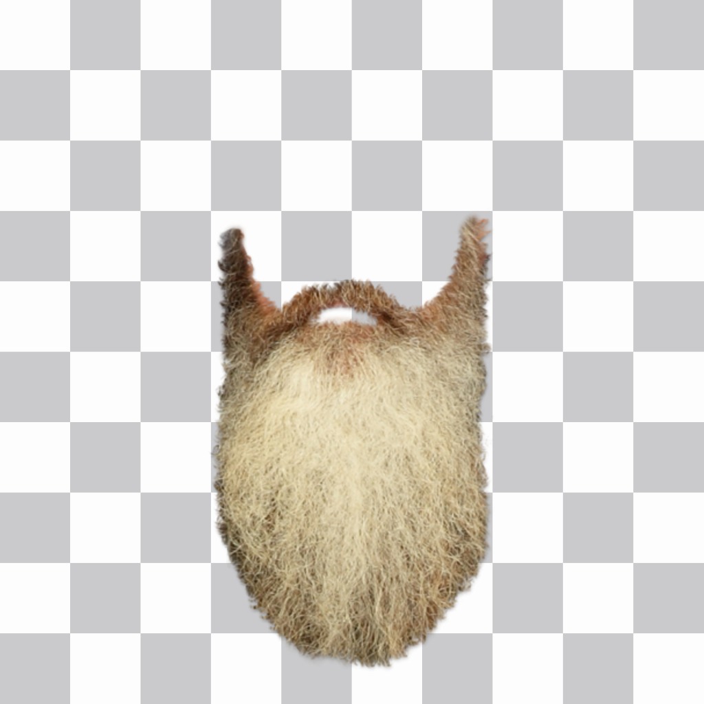 Photomontage to put a beard on your photo